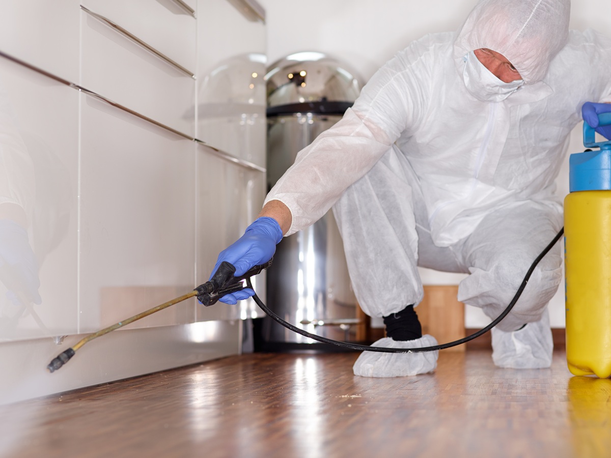 Mold Removal Services Baltimore: Hidden Spots for Mold Growth That ...